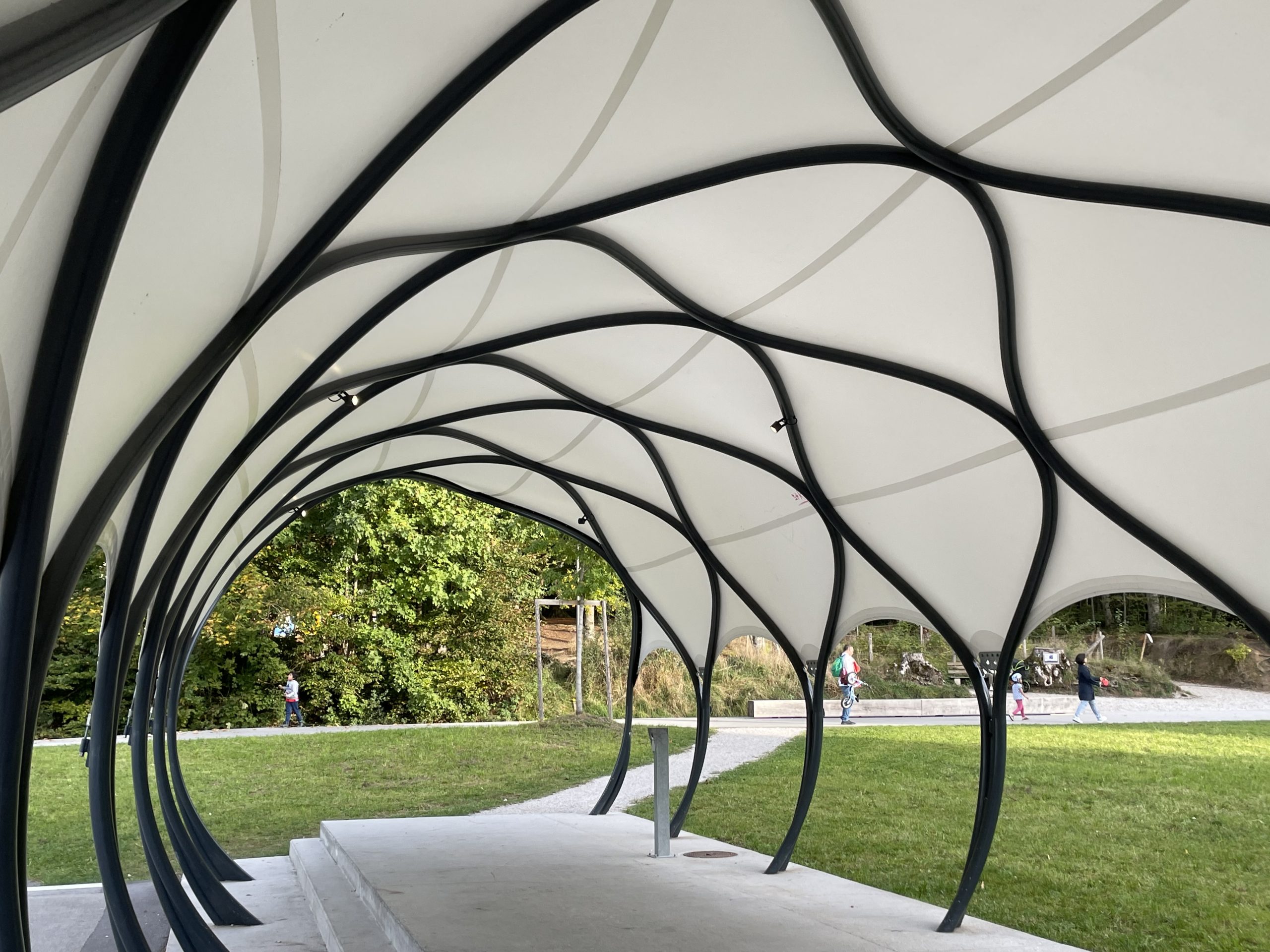 Ultra-lightweight structure – Public pavilion - AXISVM
